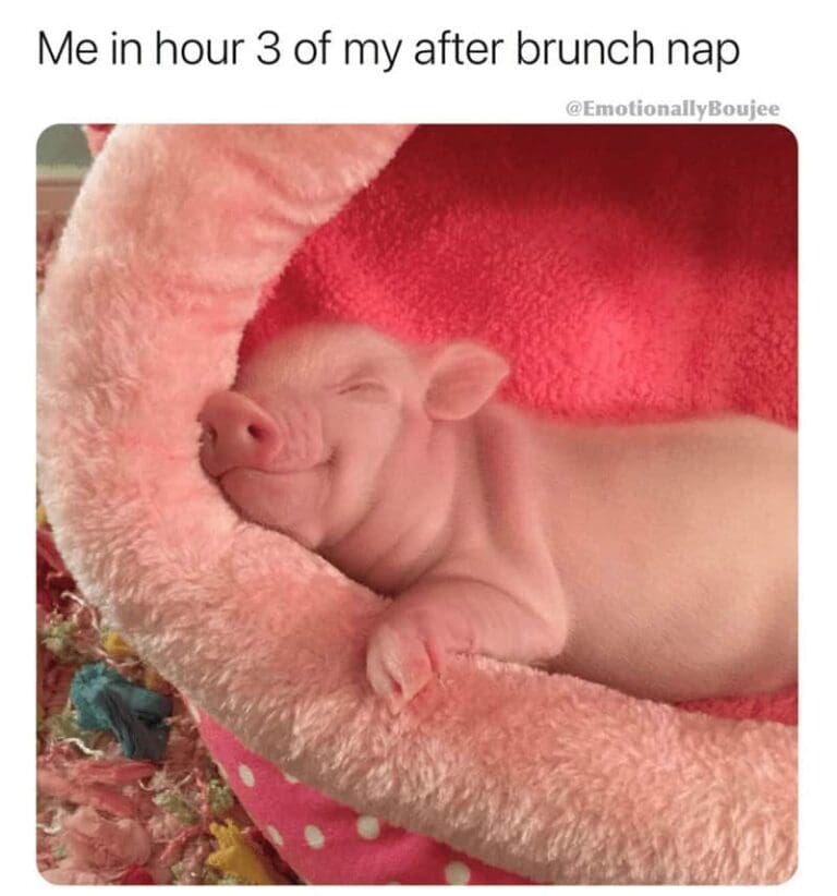 Brunch Memes: 35 Memes to Enjoy with Your Eggs Benny