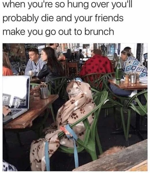 Brunch Memes: 35 Memes to Enjoy with Your Eggs Benny