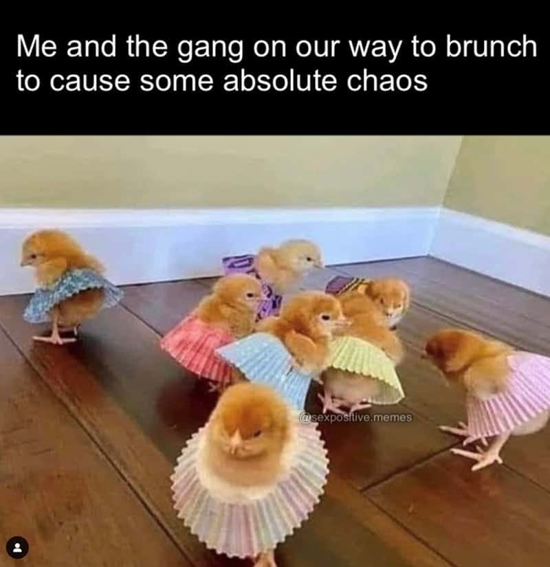 brunch memes-9-20240812 - Thunder Dungeon | The Funniest Memes. Period.