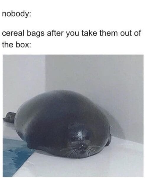 Cereal Memes: 28 Memes For Any Time of Day