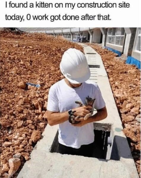40 Funny Construction Worker Memes That Won't Pass A Clean Test