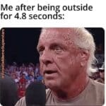 40 Funny Construction Worker Memes That Won't Pass A Clean Test