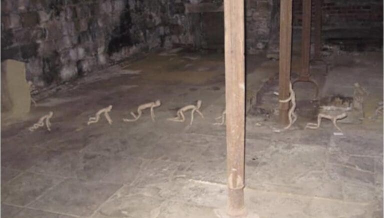 27 Creepy Basements That Will Haunt Your Dreams