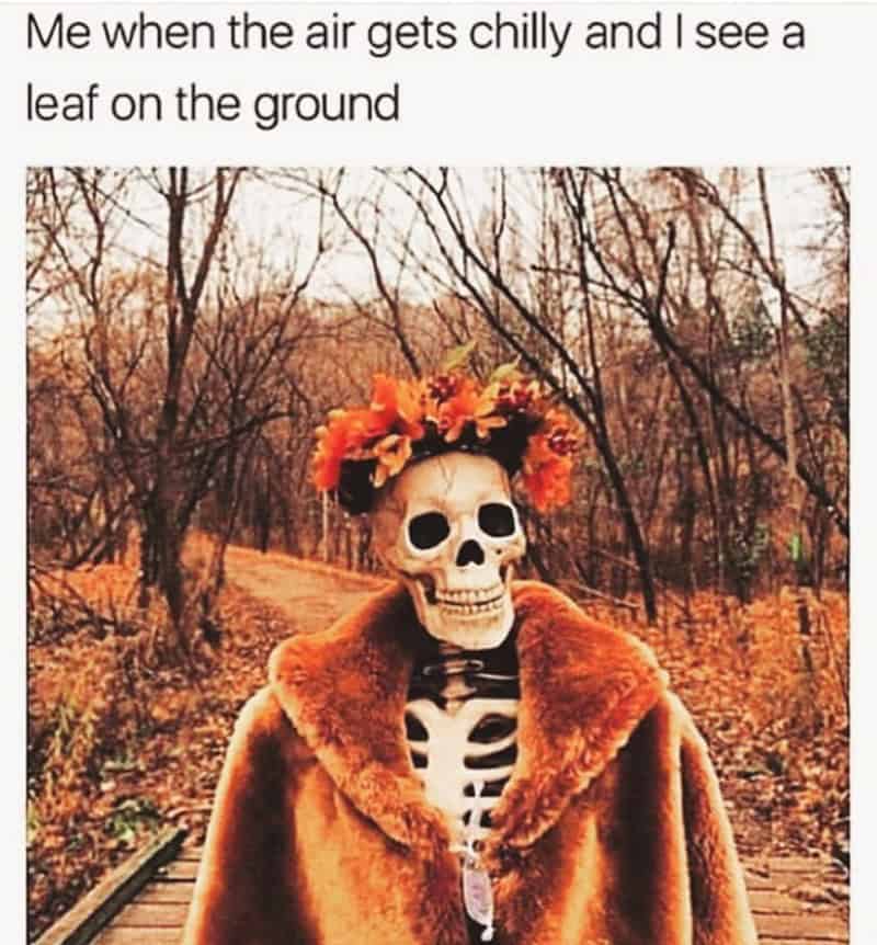 fall memes-20-20240831 - Thunder Dungeon | The Funniest Memes. Period.