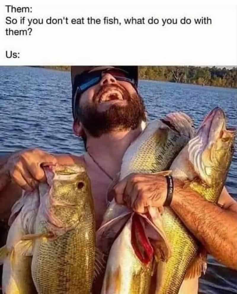 fishing memes-20-8-2-2024 - Thunder Dungeon | The Funniest Memes. Period.