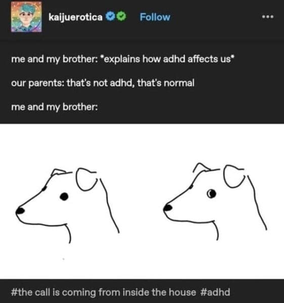 50 Of the Best Tumblr Memes You Need to See This Week