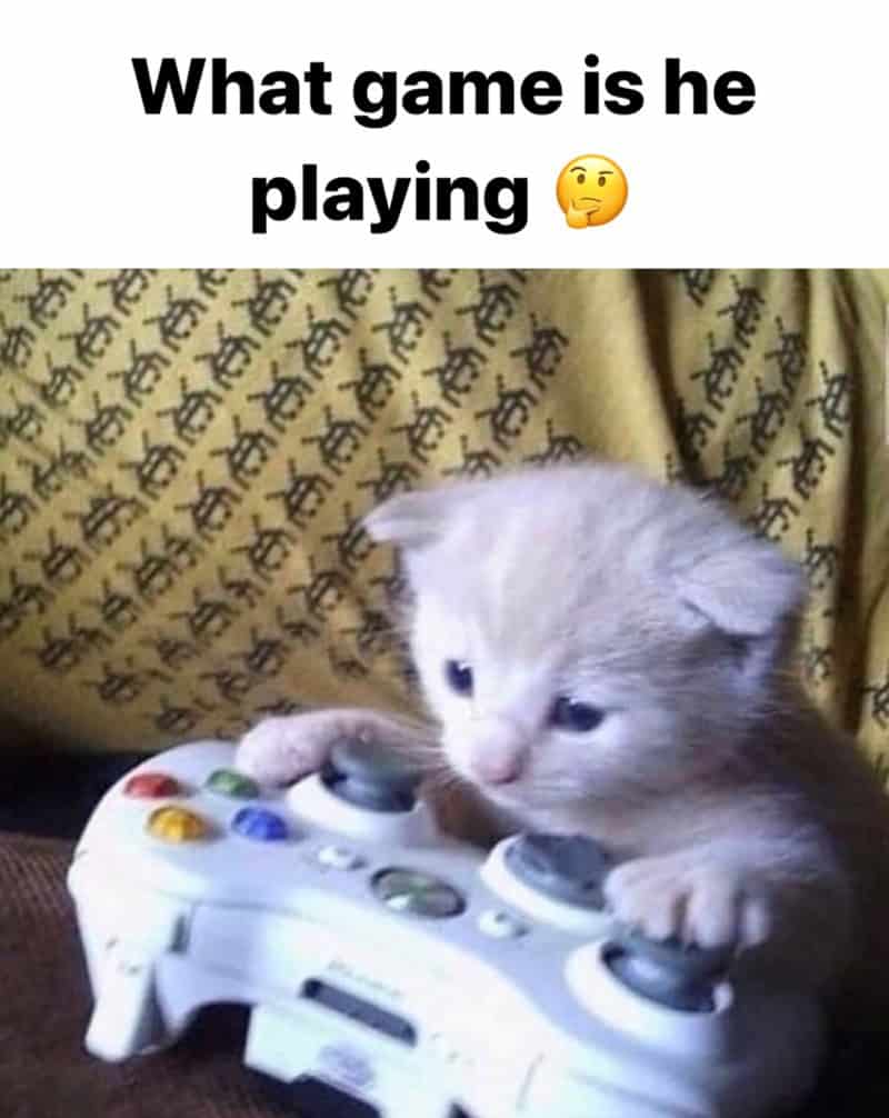 gamer memes-35-20240812 - Thunder Dungeon | The Funniest Memes. Period.