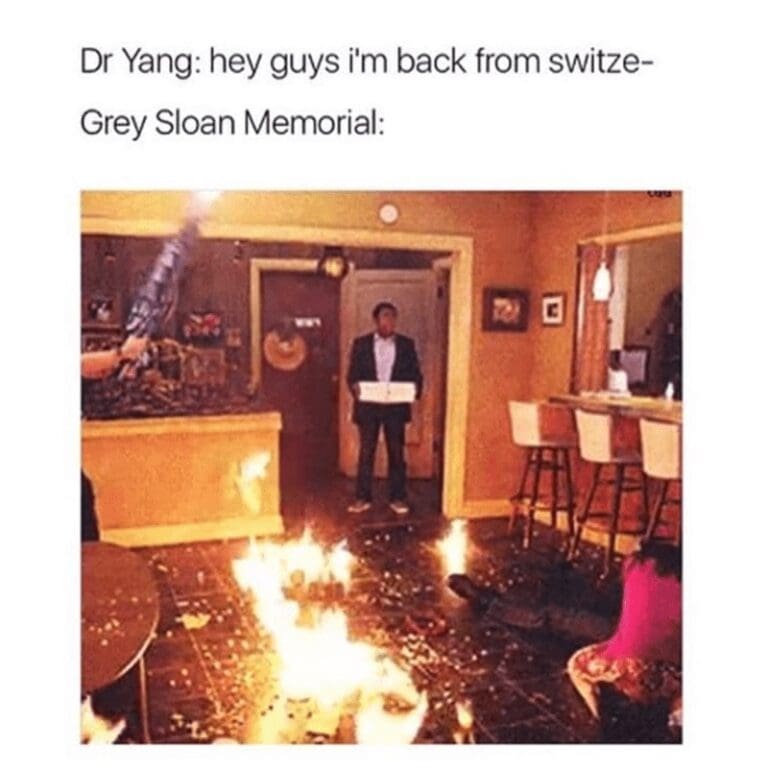 30 Grey’s Anatomy Memes for the Diehard Fans That Know It Was ...