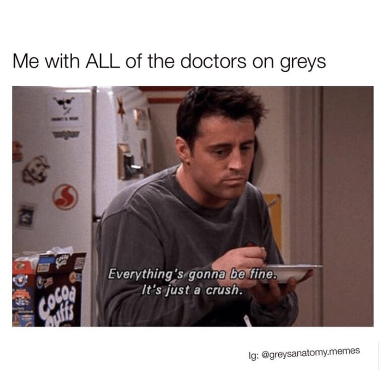30 Grey’s Anatomy Memes for the Diehard Fans That Know It Was ...