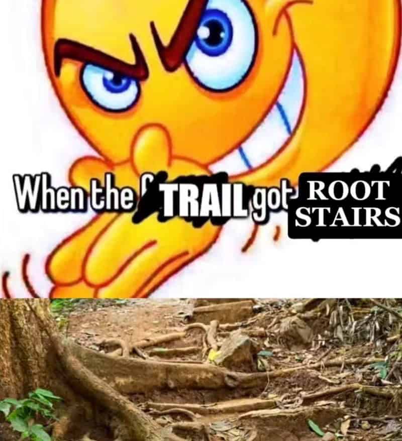 hiking memes-3-8-5-2024 - Thunder Dungeon | The Funniest Memes. Period.