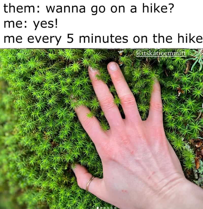 hiking memes-6-8-5-2024 - Thunder Dungeon | The Funniest Memes. Period.