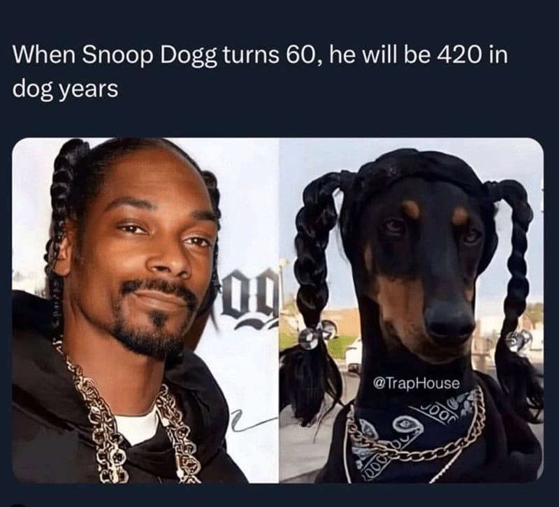 snoop dog olympics memes-21-20240815 - Thunder Dungeon | The Funniest Memes. Period.