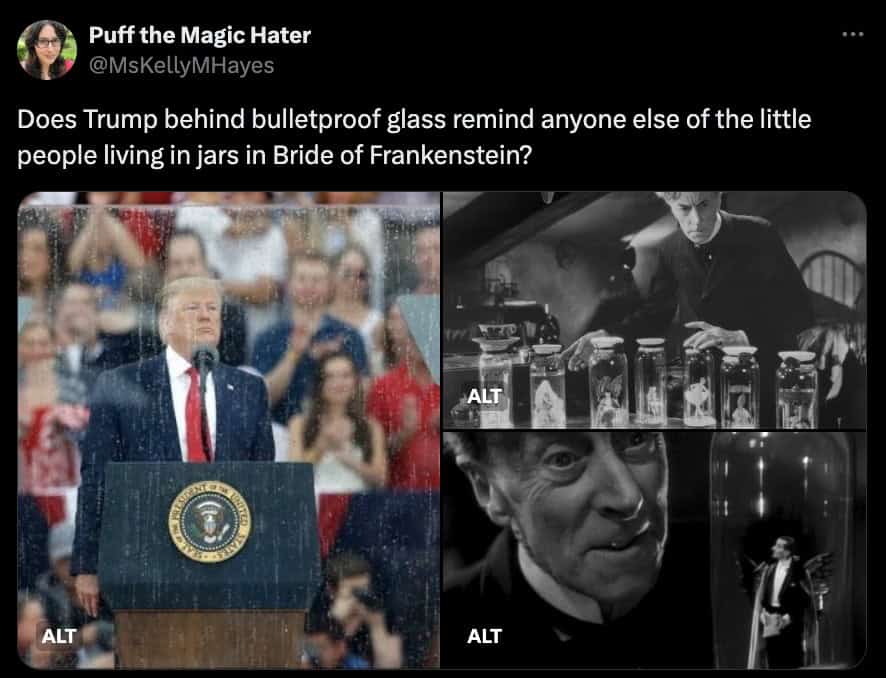 trump behind glass memes-12-20240820 - Thunder Dungeon | The Funniest ...