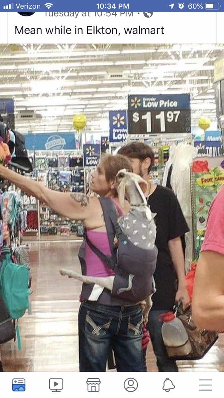 walmart memes-26-8-20-2024 - Thunder Dungeon | The Funniest Memes. Period.