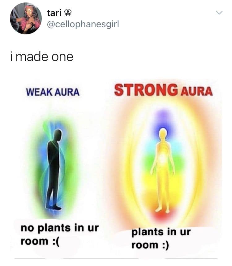 aura points memes-18-20240925 - Thunder Dungeon | The Funniest Memes. Period.