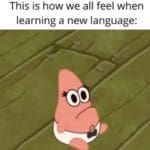 Language Memes: 40 Memes For The Multilinguals