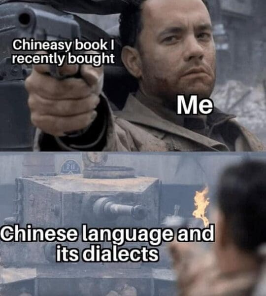 Language Memes: 40 Memes For The Multilinguals