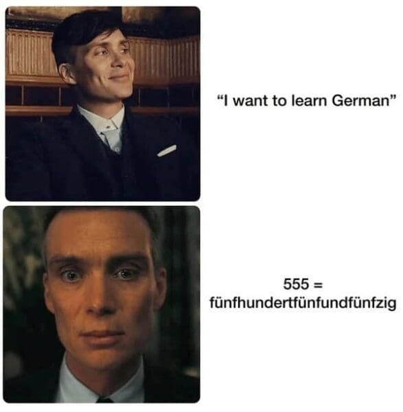 Language Memes: 40 Memes For The Multilinguals