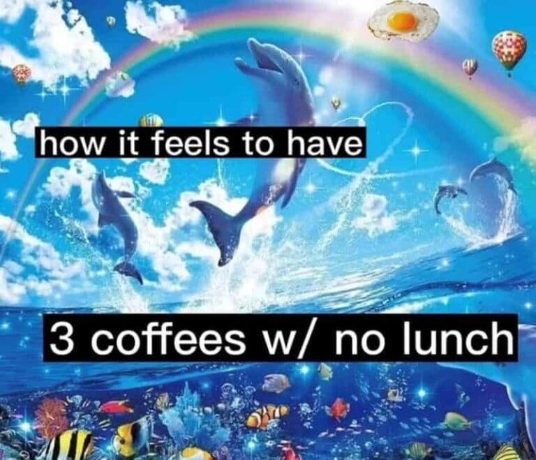 Lunch Memes: 27 Relatable Lunch Memes That Hit the Spot