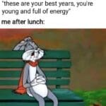 Lunch Memes: 27 Relatable Lunch Memes That Hit the Spot
