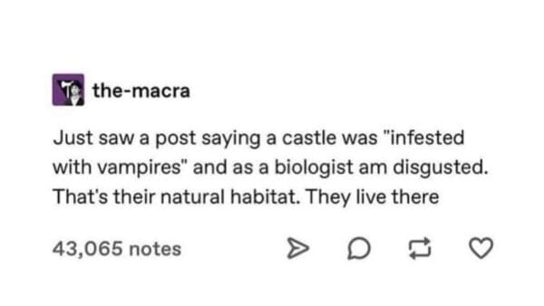 Thunder Dungeon | The Funniest Memes. Period.