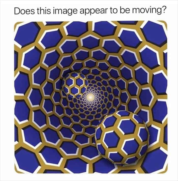 optical illusion memes-18-9-27-2024 - Thunder Dungeon | The Funniest ...