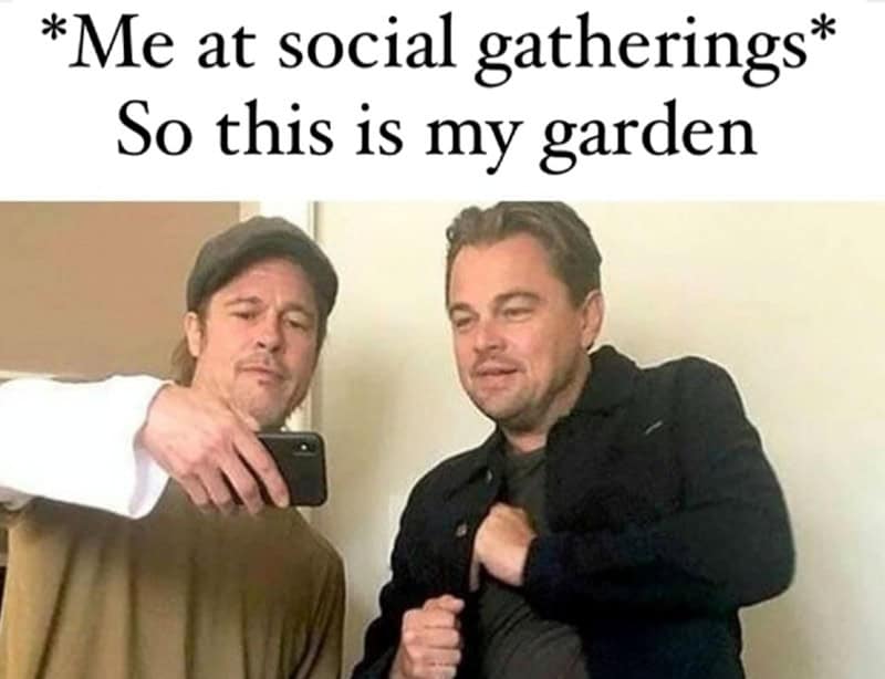 plant memes-35-9-11-2024 - Thunder Dungeon | The Funniest Memes. Period.