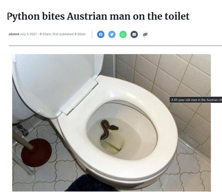 Poop Memes: 35 Toilet Memes And Real Weird Toilets