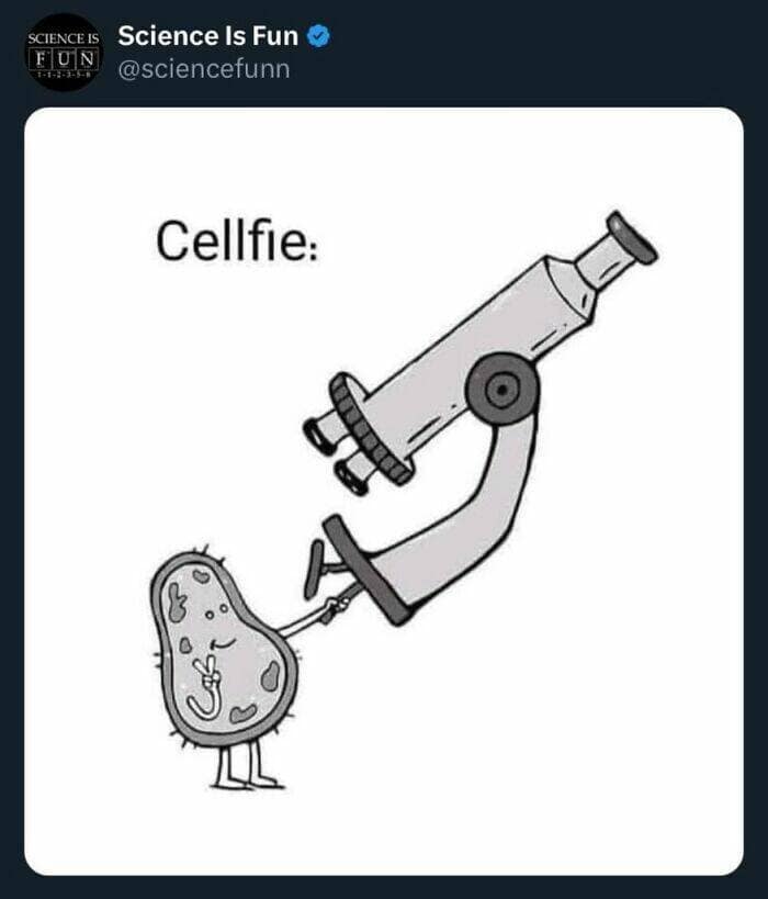 science memes-21-20240917 - Thunder Dungeon | The Funniest Memes. Period.