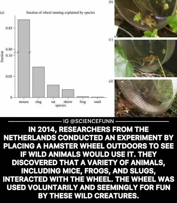 science memes-37-20240917 - Thunder Dungeon | The Funniest Memes. Period.