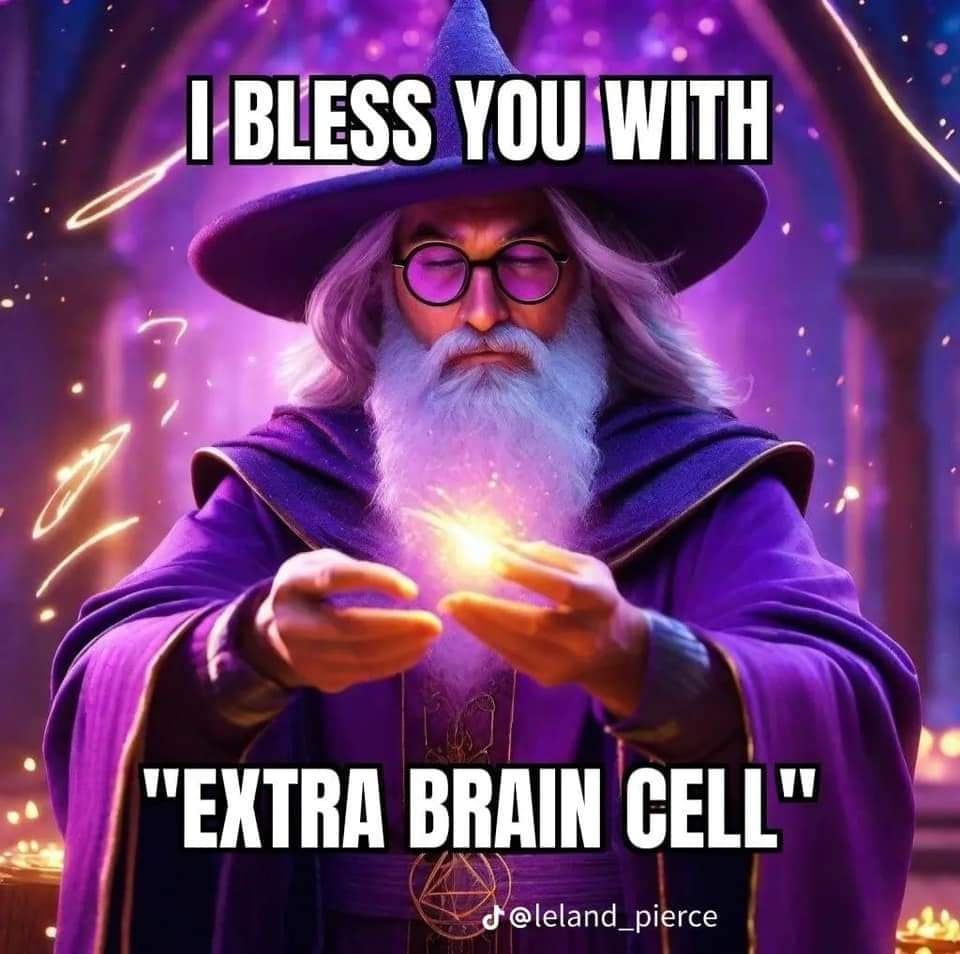 wizard memes-17-9-11-2024 - Thunder Dungeon | The Funniest Memes. Period.