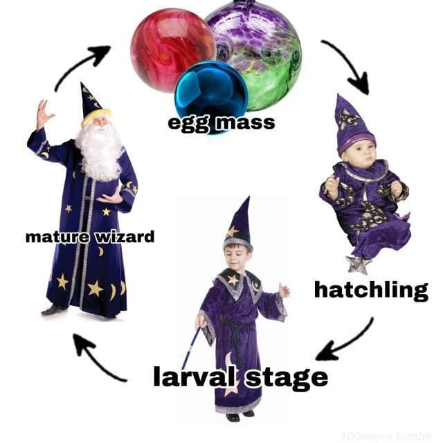 wizard memes-26-9-11-2024 - Thunder Dungeon | The Funniest Memes. Period.