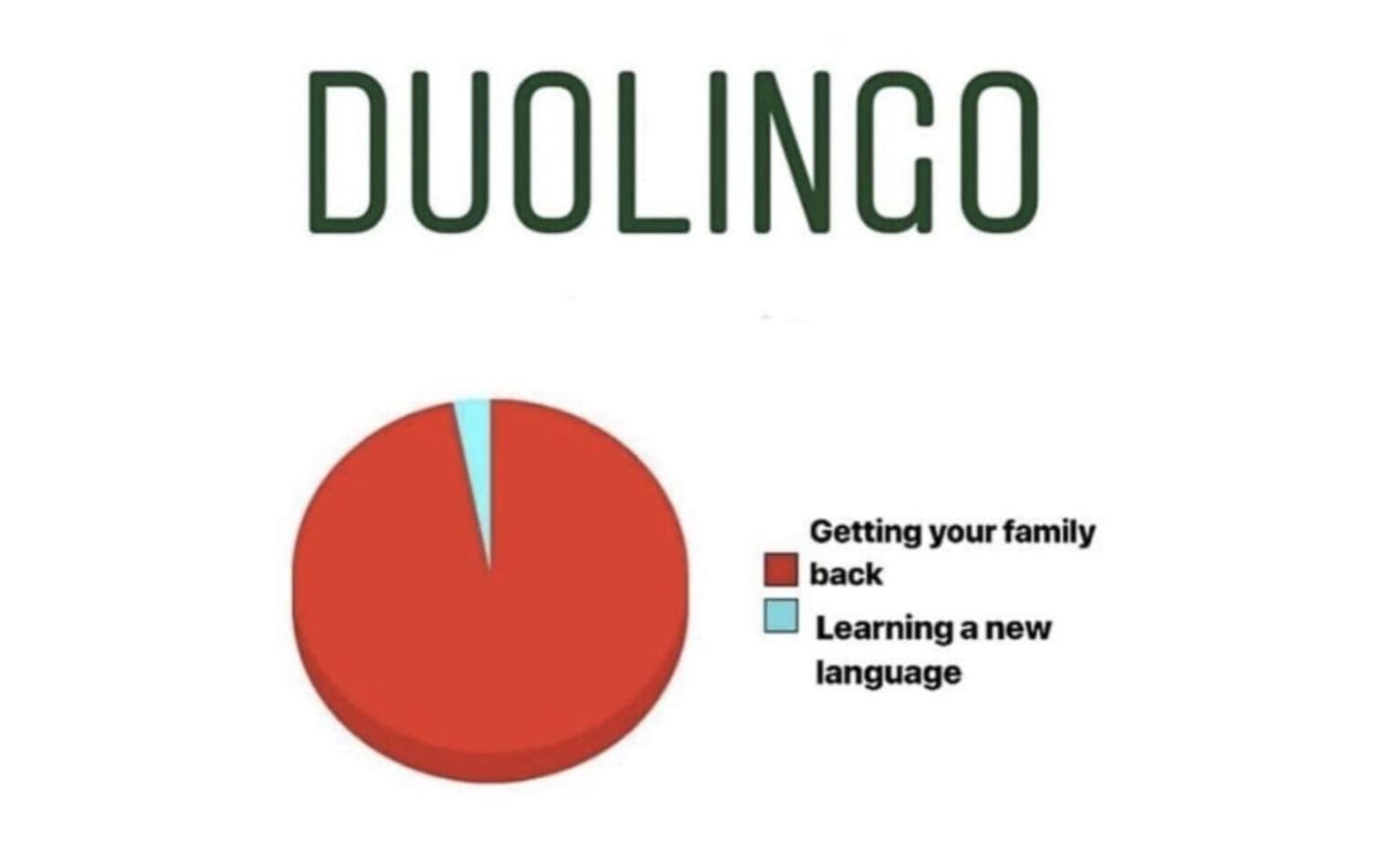 35 Duolingo Memes for Anyone Terrified of Losing Their Streak