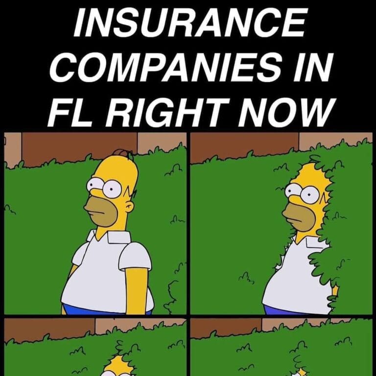 Hurricane Milton Memes: 25 Memes to Laugh Through the Storm