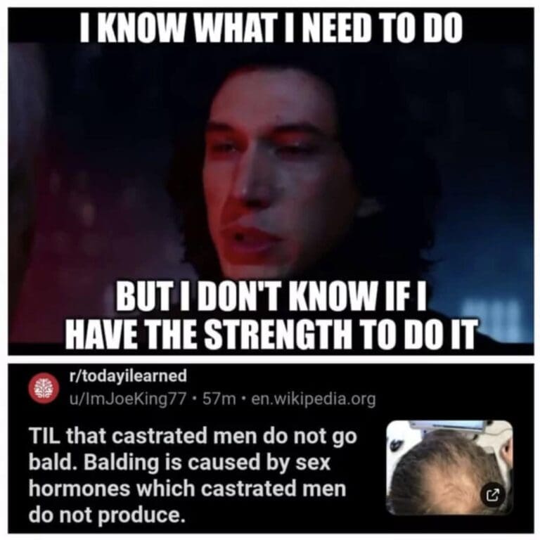 Bald Memes: 30 Memes Appreciating the Bald Fellas