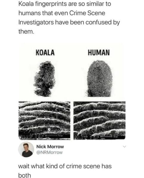 Dark Humor Memes: 43 Memes That Are Hilariously Bleak