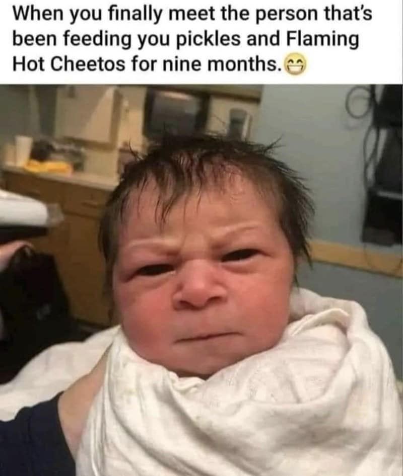 grumpy memes-44-20241011 - Thunder Dungeon | The Funniest Memes. Period.