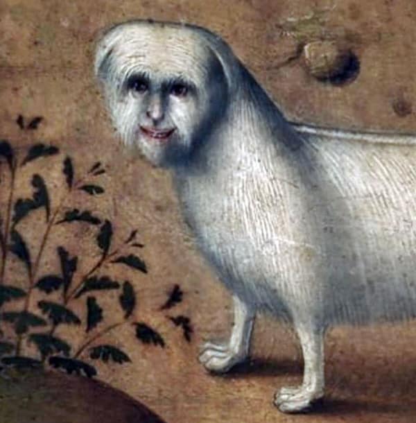 Medieval Animals 27 Bizarre Creatures From Medieval Art