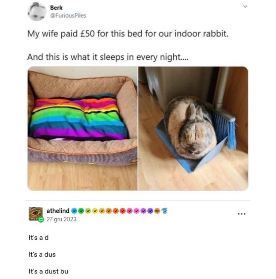 meme dump-03-2-20241013 - Thunder Dungeon | The Funniest Memes. Period.