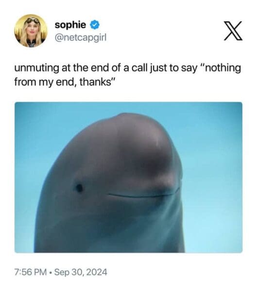 Smiling Dolphin Memes: 25 of the Newest Happy Meme