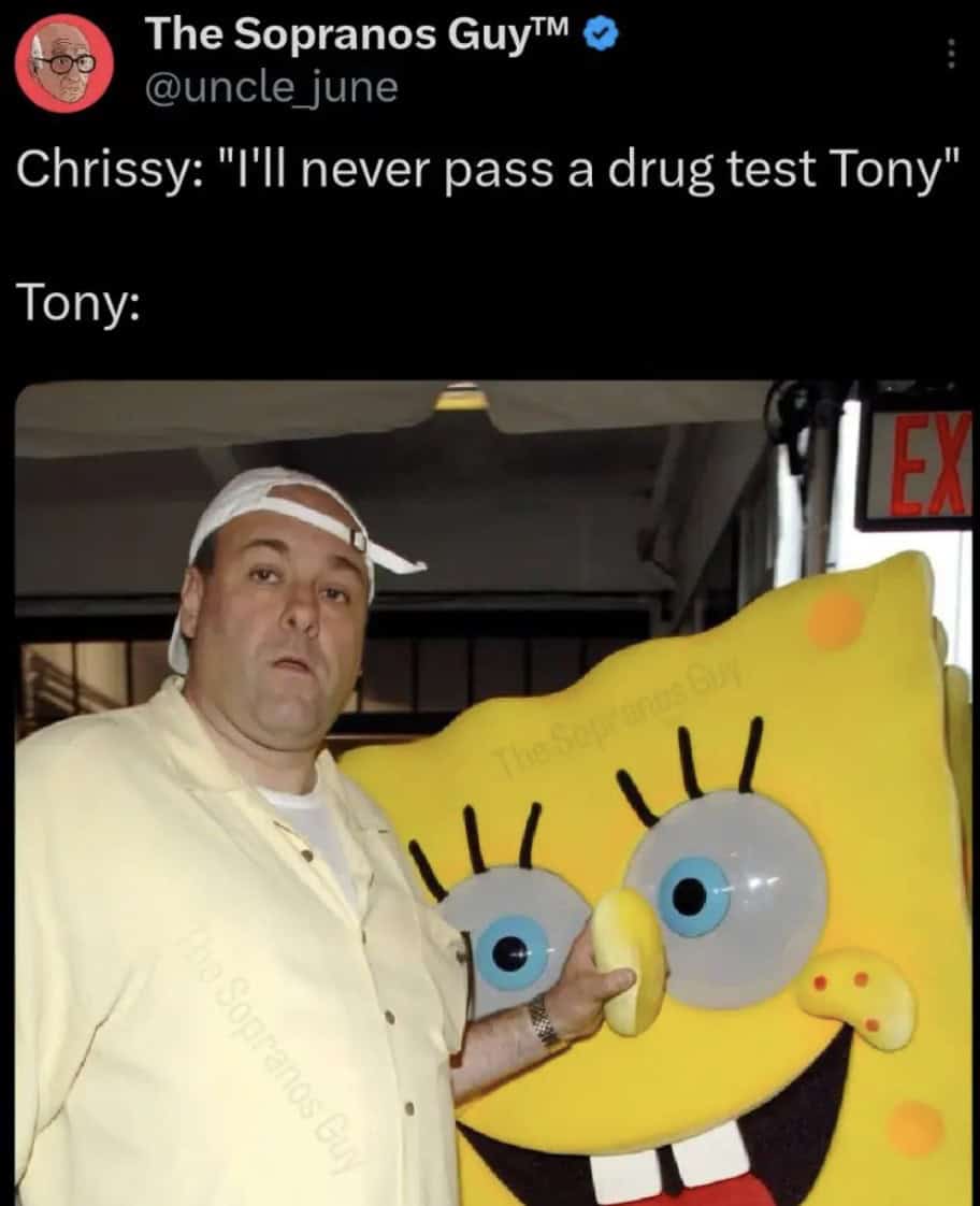 sopranos memes-38-10-1-2024 - Thunder Dungeon | The Funniest Memes. Period.