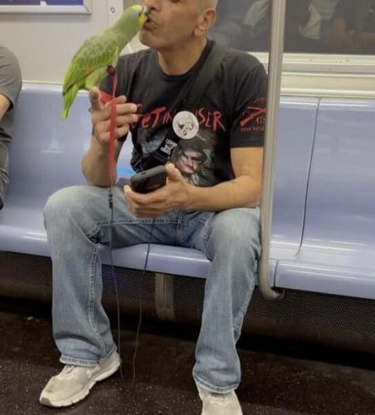 45 Subway Creatures That Show How Crazy NYC Transit Really Is