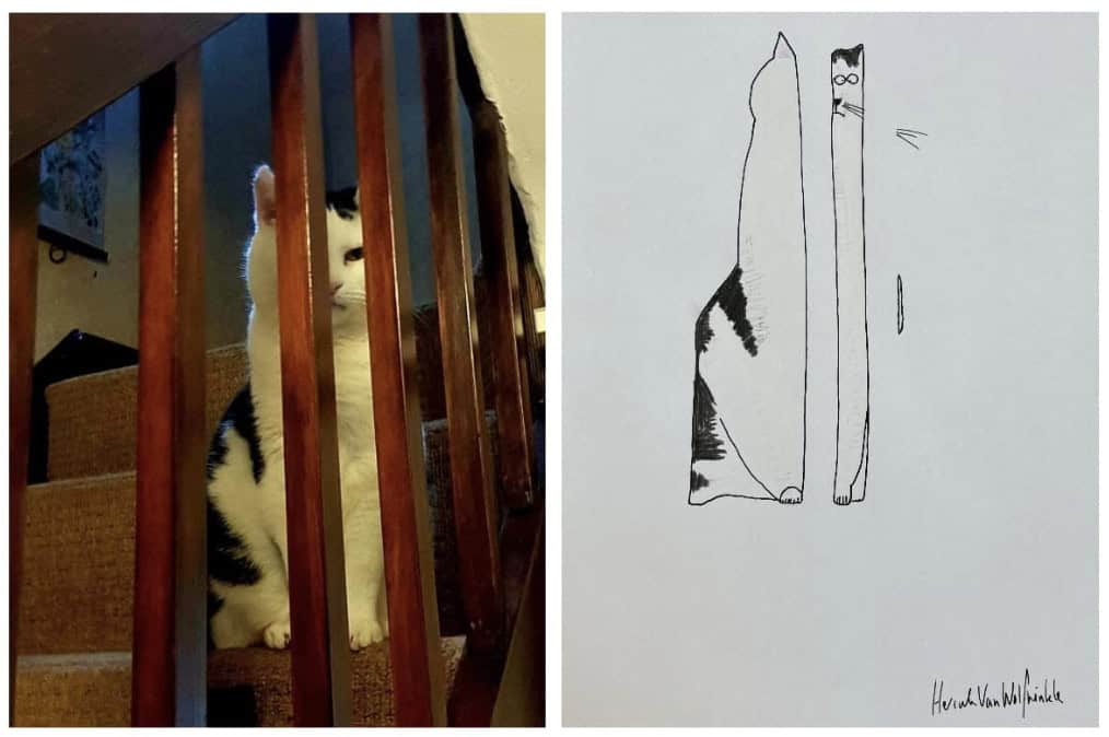 terrible drawings of pets-10-10-8-2024 - Thunder Dungeon | The Funniest ...