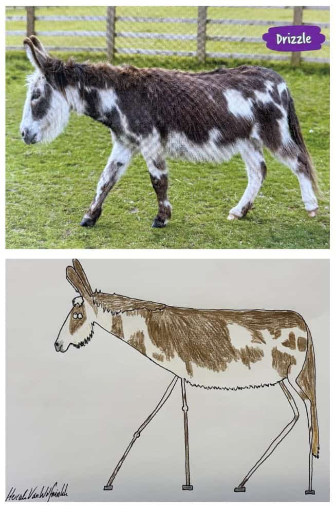 terrible drawings of pets-11-10-8-2024 - Thunder Dungeon | The Funniest ...