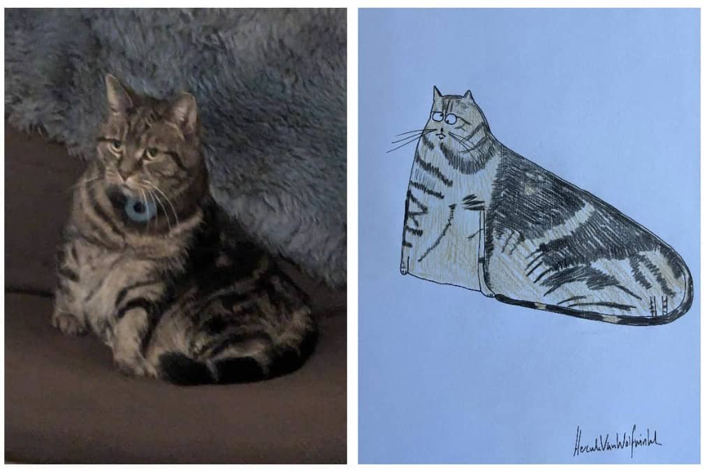 terrible drawings of pets-14-10-8-2024 - Thunder Dungeon | The Funniest ...