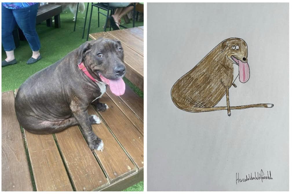 terrible drawings of pets-17-10-8-2024 - Thunder Dungeon | The Funniest ...