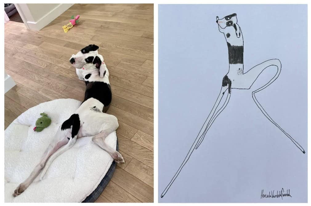 terrible drawings of pets-26-10-8-2024 - Thunder Dungeon | The Funniest ...