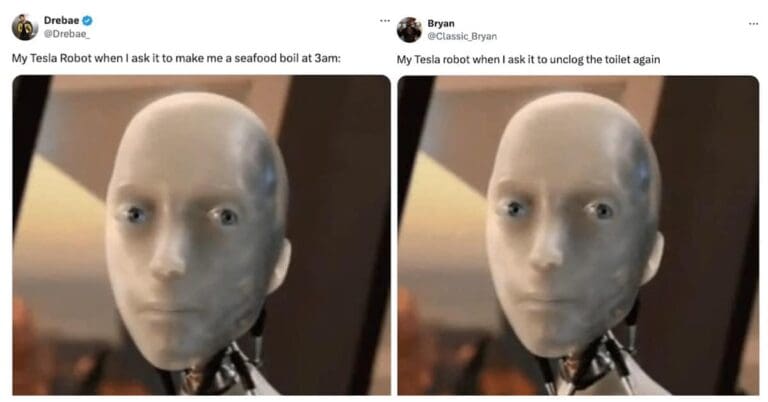 Tesla AI Robot Memes: 19 Tesla Robot Memes You Need to See