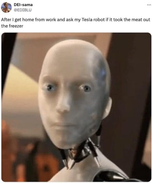 Tesla AI Robot Memes: 19 Tesla Robot Memes You Need to See