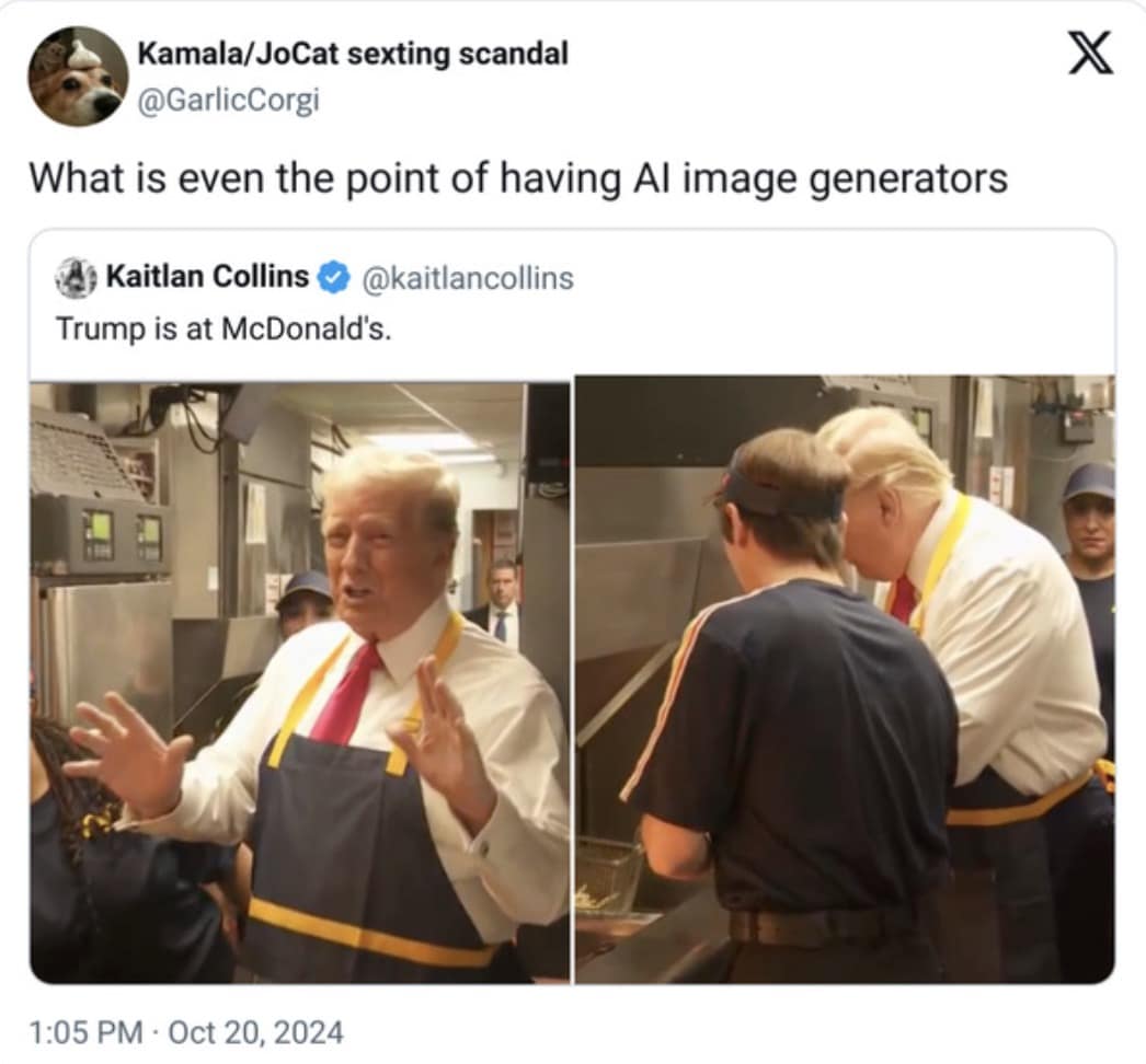 trump working at mcdonalds memes-33-20241021 - Thunder Dungeon | The Funniest Memes. Period.